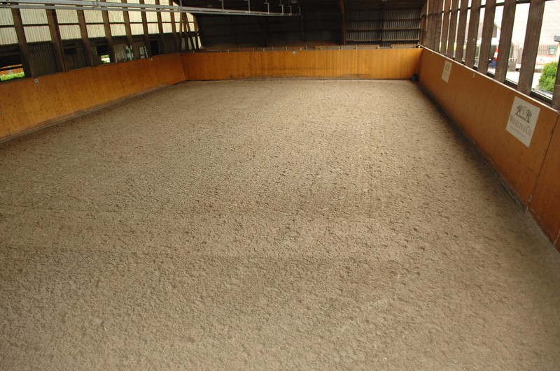 Maneggio coperto | Carlo Pfyffer Horse Trading and Management - The way ...